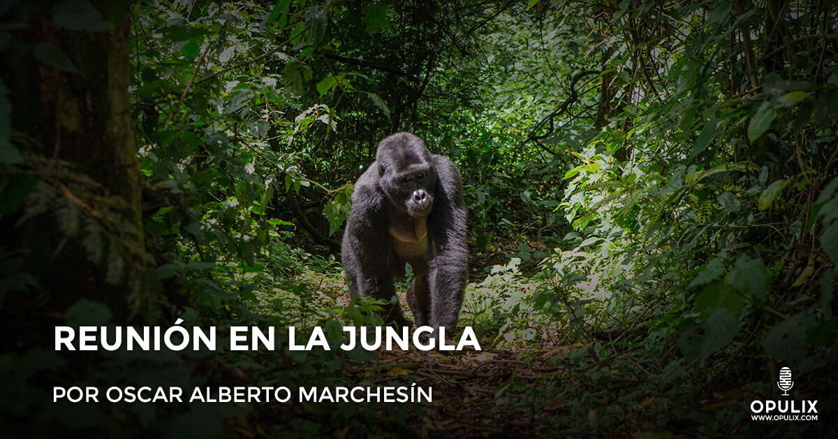 Reunión en la jungla. Cortado el útimo árbol Murió el último pájaro...