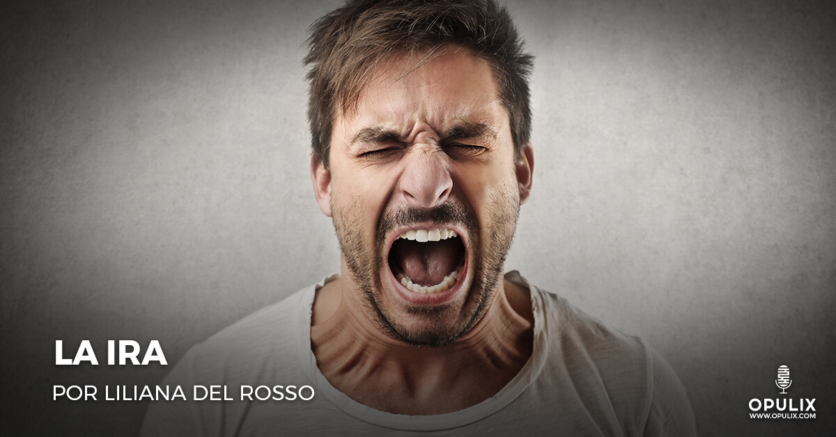 La ira. Xabier, no tenía ninguna duda de que el causante de su rabia ...